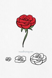 12 Easy Rose Drawing Ideas Step By Step Guide • Mina Drawing
